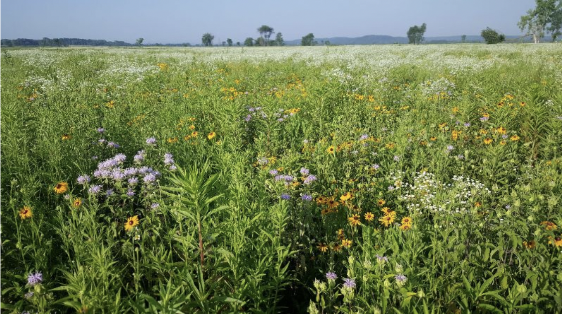 2022 Webinars The Climate Corner